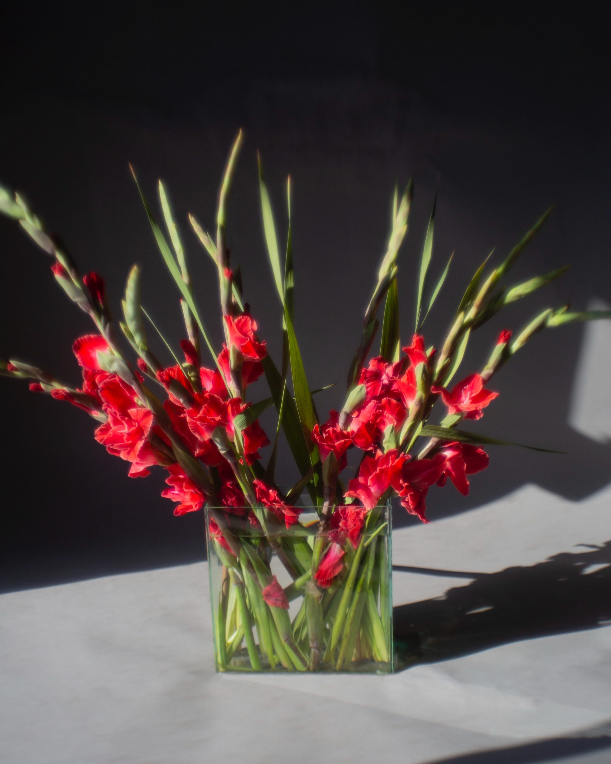 khaabo | Flower Arrangement for Funeral